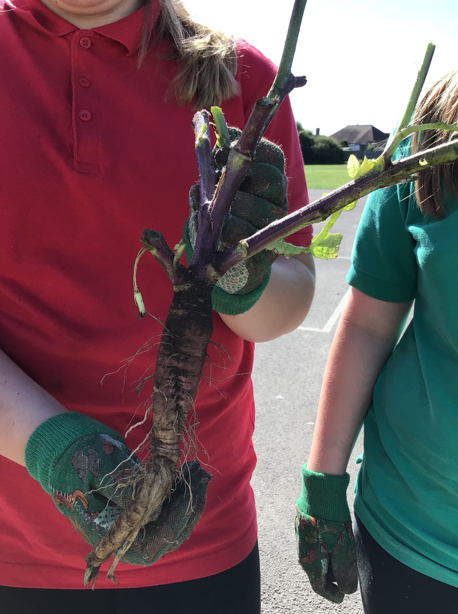 Outdoor Learning – Larkholme Primary School